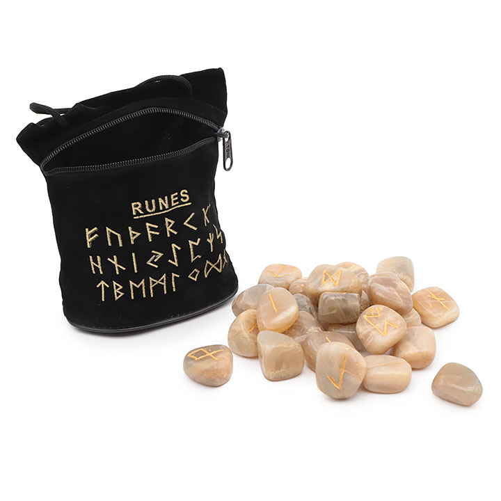 - Camille Ambiance Nature